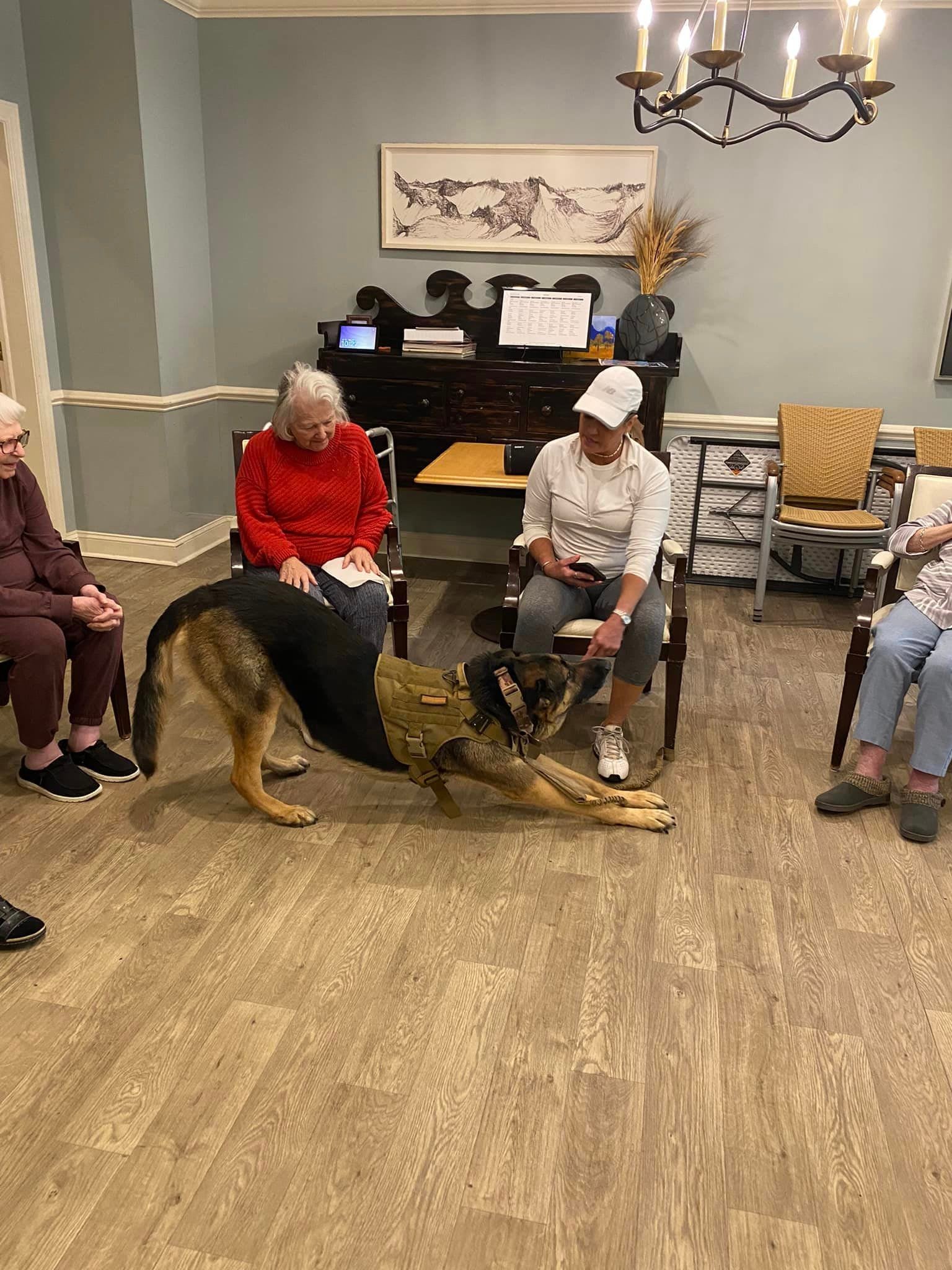 Assisted Living and Dementia Care in Asheville, North Carolina